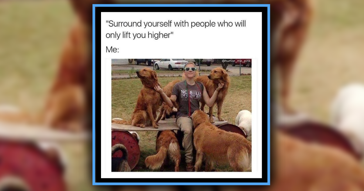 31 Pawfect Pupper Memes to Show Your Canine Child While Chilling on the ...