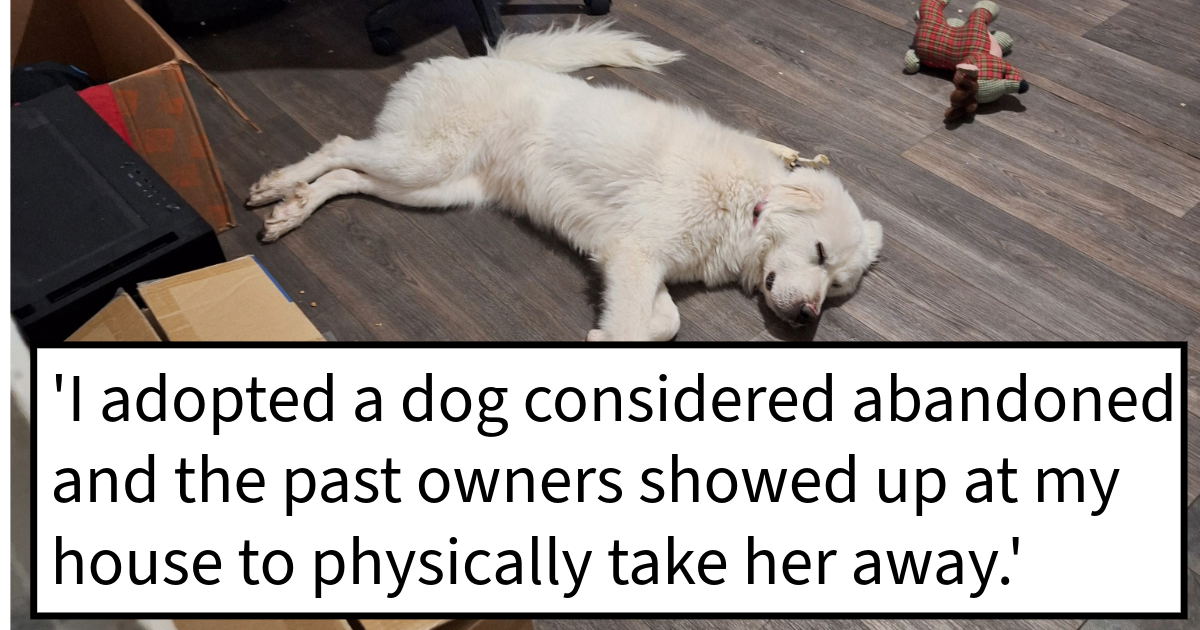 ‘They tried to drag the dog back to the car’: Good samaritan fears ...