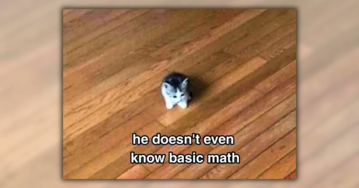 I Can Has Cheezburger? - kitten memes - Funny Animals Online - Cheezburger