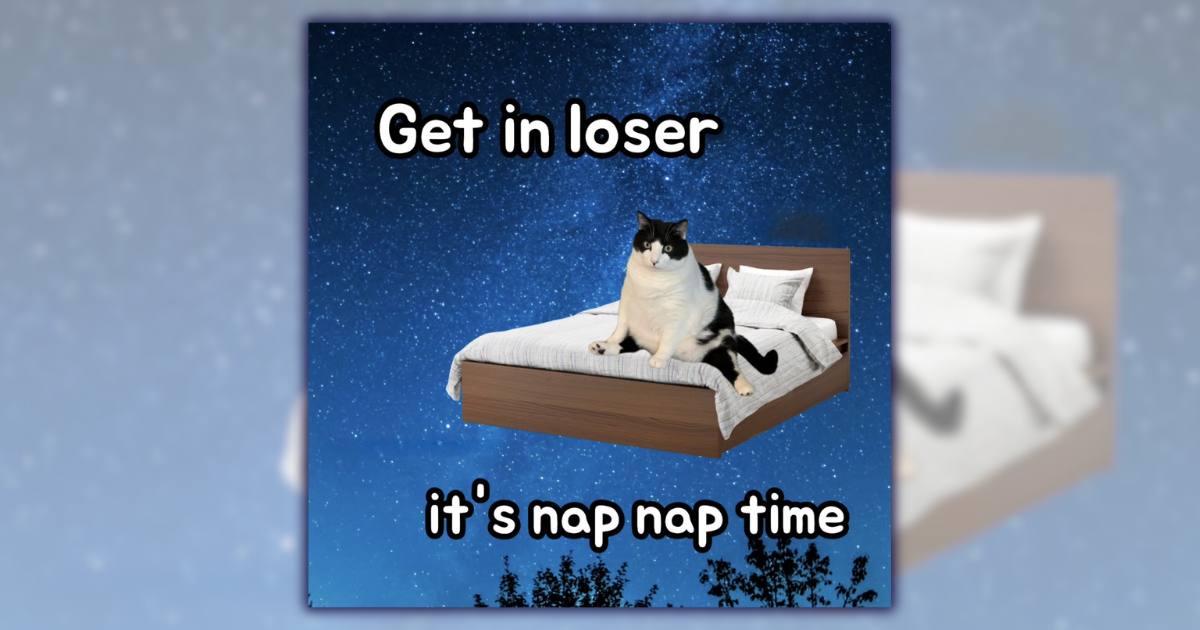 21 Random Cat Memes That are Very Cat-Like, Just Like You - I Can Has ...