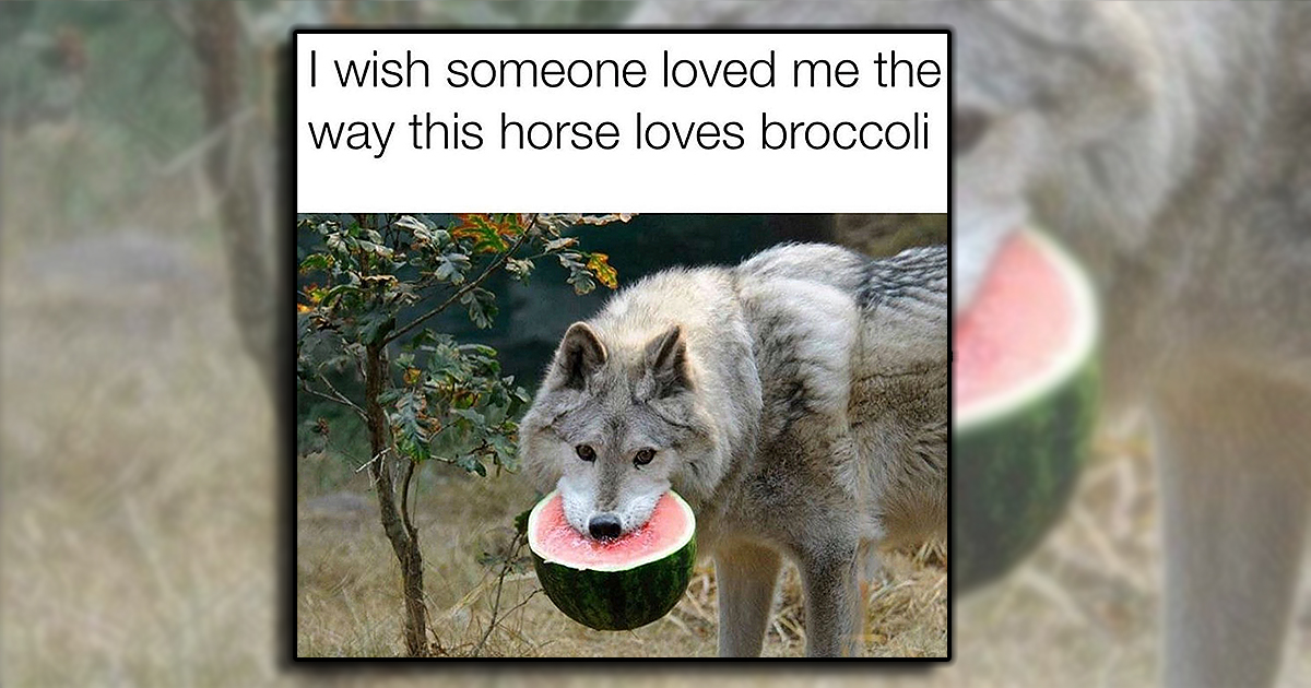 Easy Peasy Laidback Memes for a Quick and Gentle Mental Getaway ...