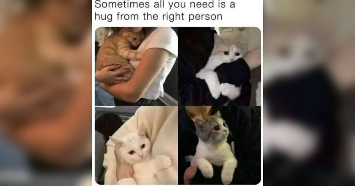 The Best Heartwarmingly Wholesome Memes and Posts of the Week (January ...