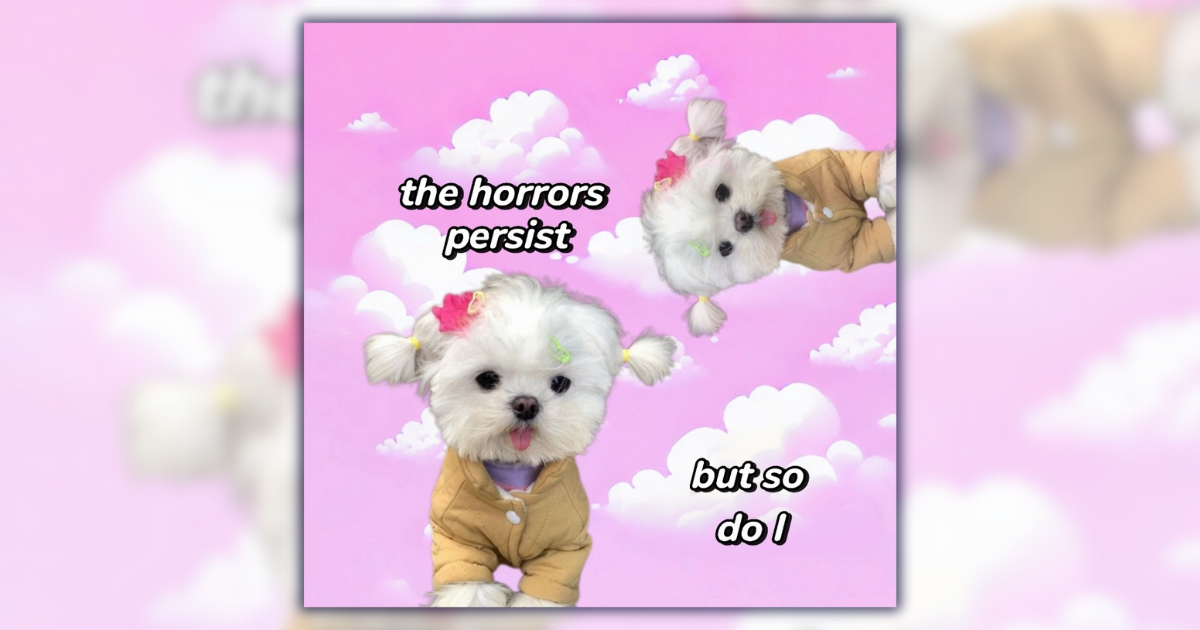 21 Weirdly Wholesome Dog Memes Managing This Monday With Whimsy Doggo ...