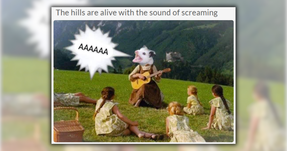 World Wild Web: 22 Wild Animal Memes Screaming to the Mountains to ...