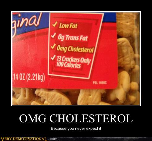 OMG CHOLESTEROL - Very Demotivational - Demotivational Posters | Very ...