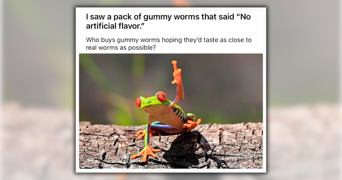 23 Random Animal Memes That are Relatable to Ragingly Relaxed People ...