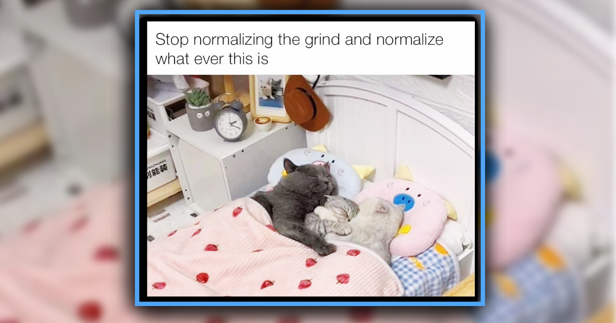 Cat Child & Chill with These 30 Feline Funnies to Reset Before the Work ...