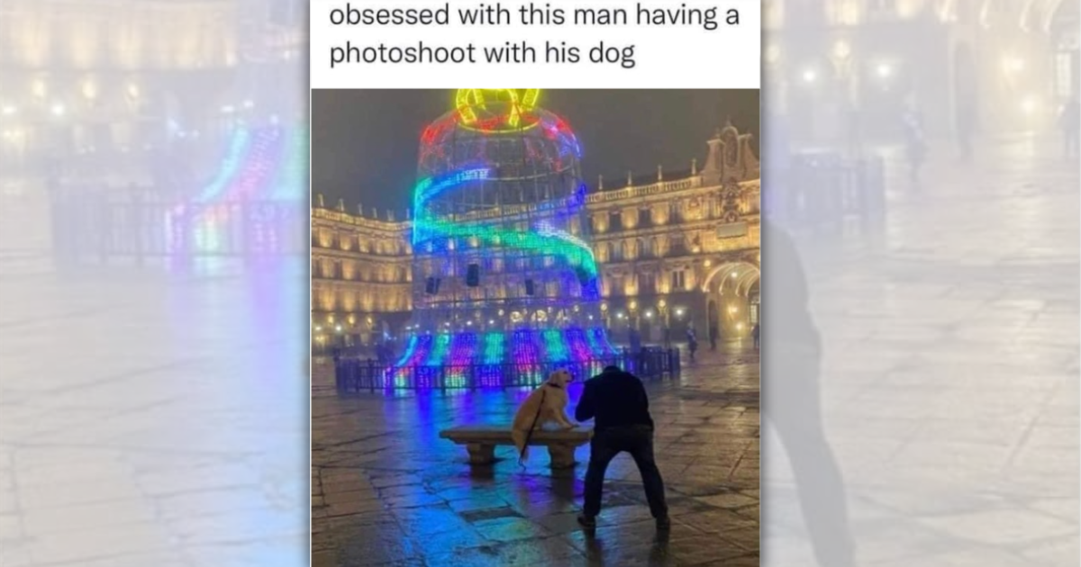 34 Dog Memes Our Dog Dug Up While Digging for Their Most Howlarious ...