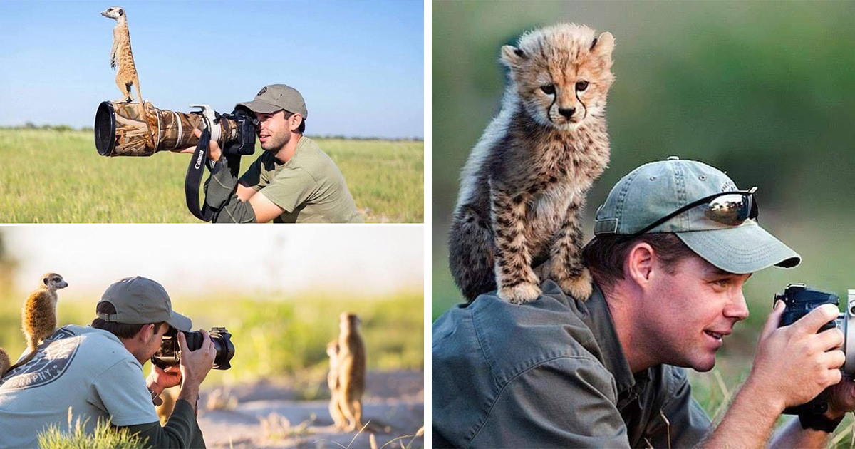 22 Animals Interrupting Wildlife Photographers in the Cutest and ...