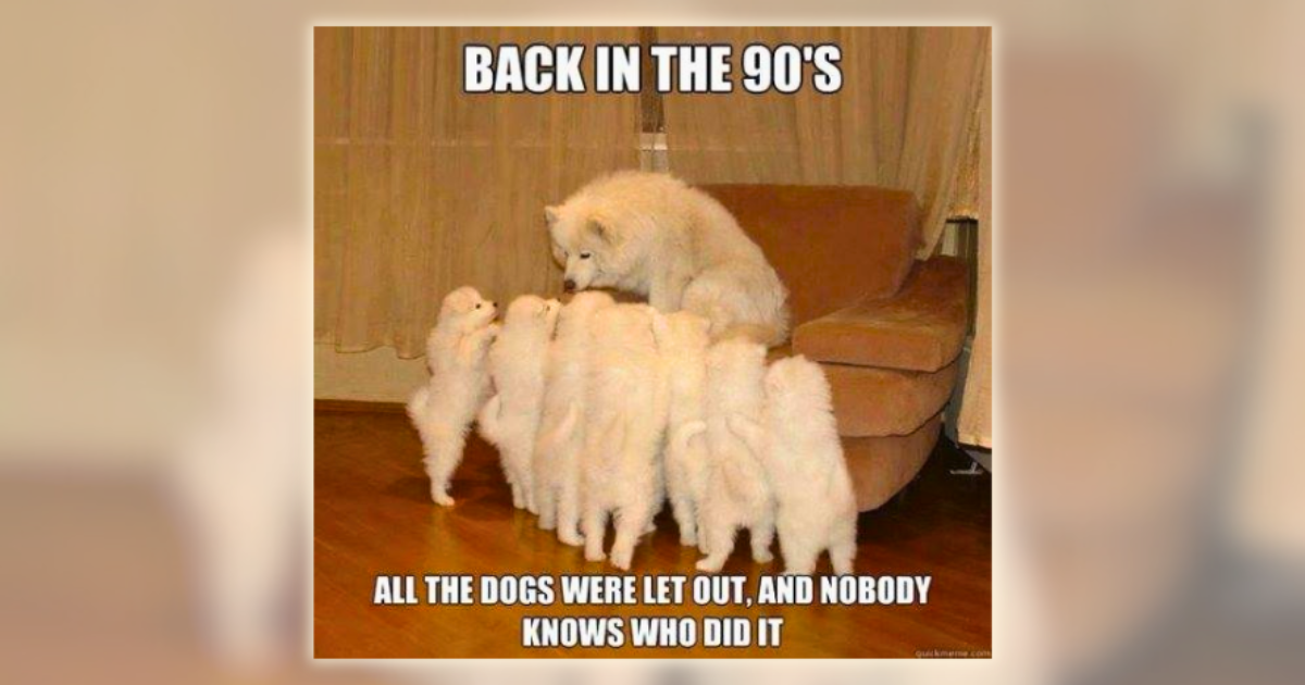 Who Let the Dog Memes Out? We Don't Know, But Here are 23 of Them ...