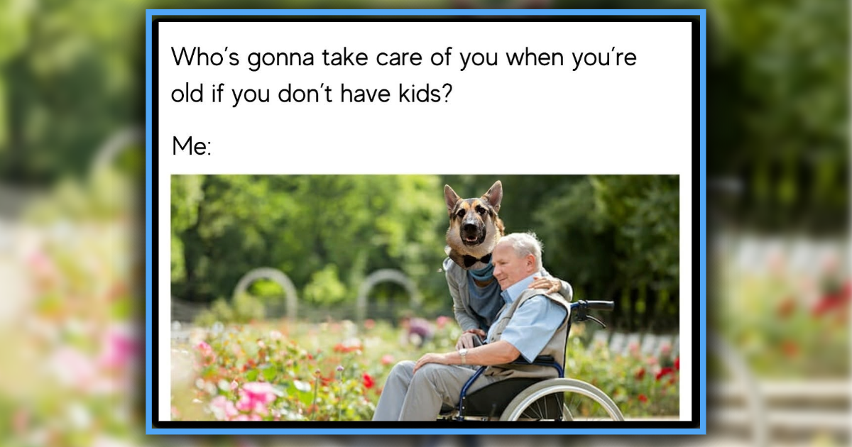 29 Heartwarming Dog Memes for Hoomans Who’d Rather Cozy Up with a ...