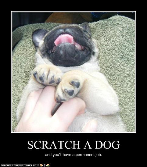 I Has A Hotdog - Dog Pictures - Funny pictures of dogs - Dog Memes ...