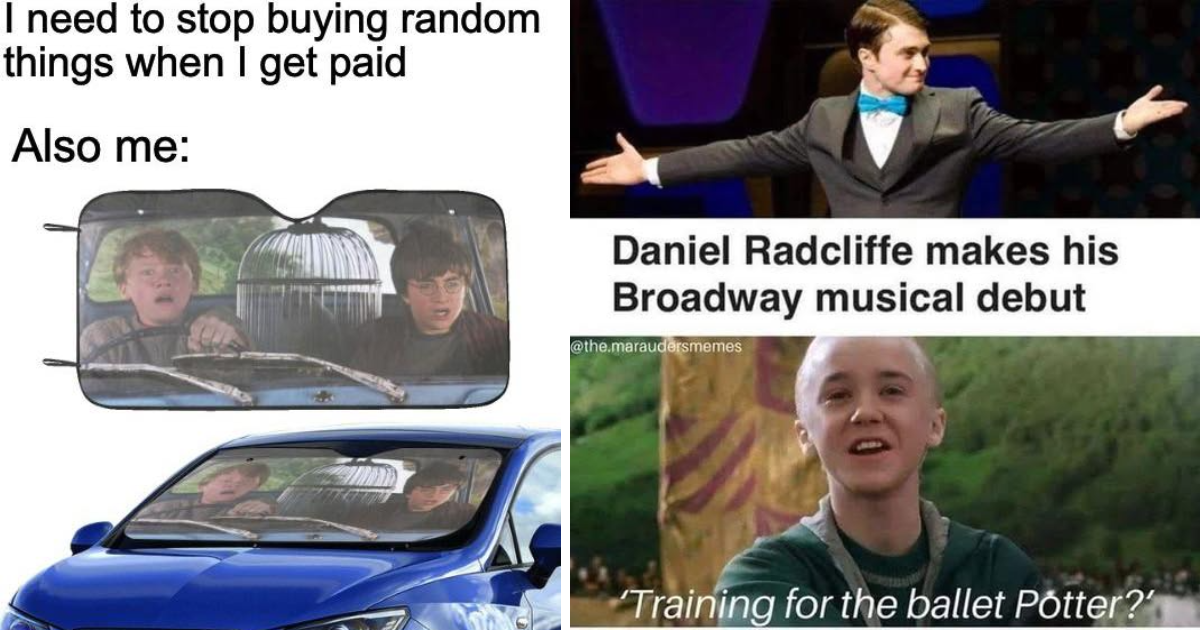 30 Harry Potter Memes That Let You Escape the Muggle World - Geek ...
