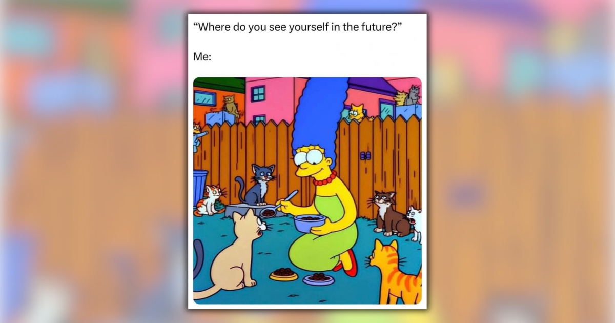 35 Cat Memes for Crazy Cat Ladies Who Want at Least 35 Feline Friends ...