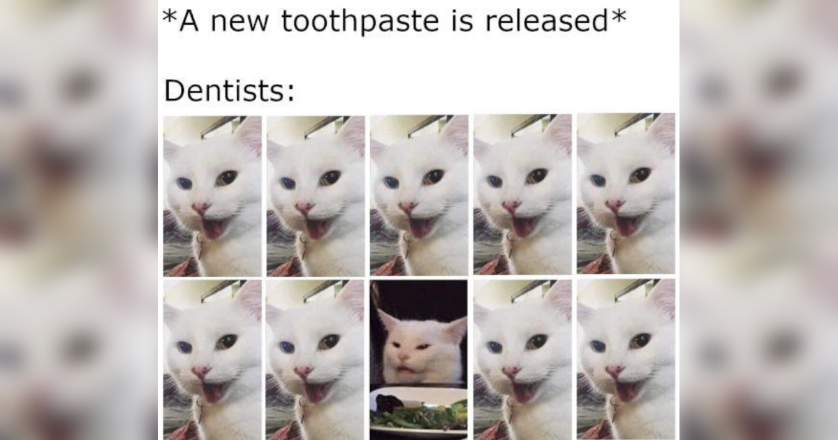 Ceimic Cat Meme Na 24 Coo Coo Cat Memes Disguising Themselves As Cool