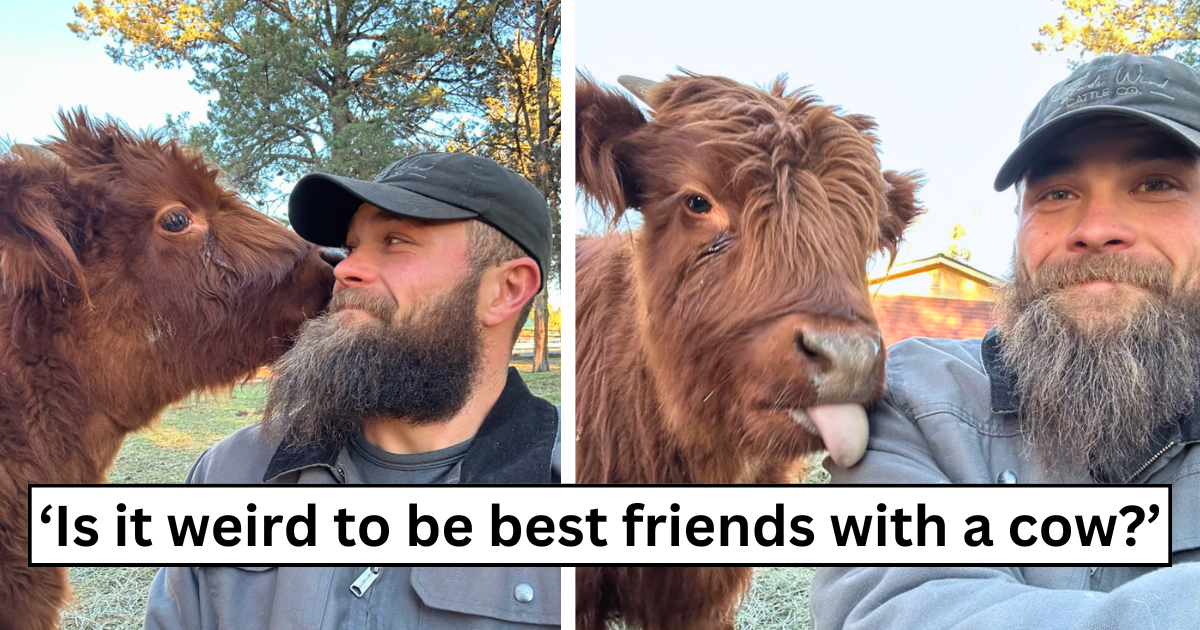 Friendly hooman wonders if his friendship with a cute cow is weird, but ...
