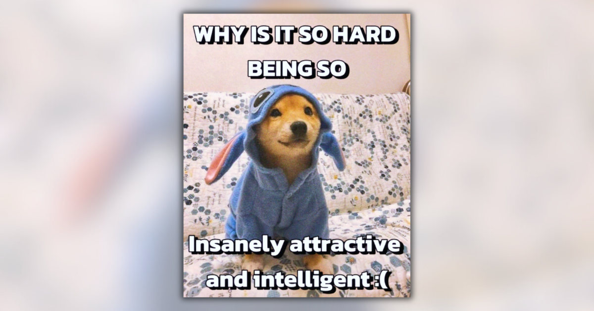Intelligent Dog Memes