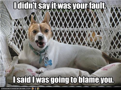 I Has A Hotdog - derp face - Funny Dog Pictures | Dog Memes | Puppy ...