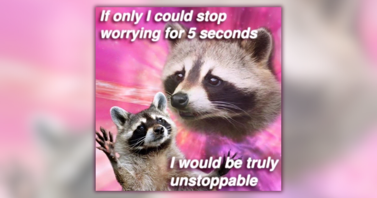 25 Rascal Raccoon Memes Reimagining This Monday as a Weekend - Animal Comedy - Animal Comedy ...