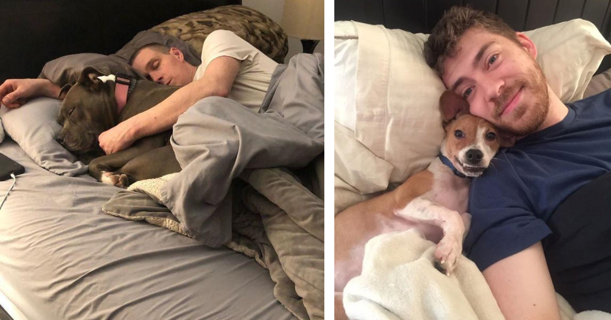 40+ Wholesome Pictures of Pets Who Make Every Morning a Snooze Button ...