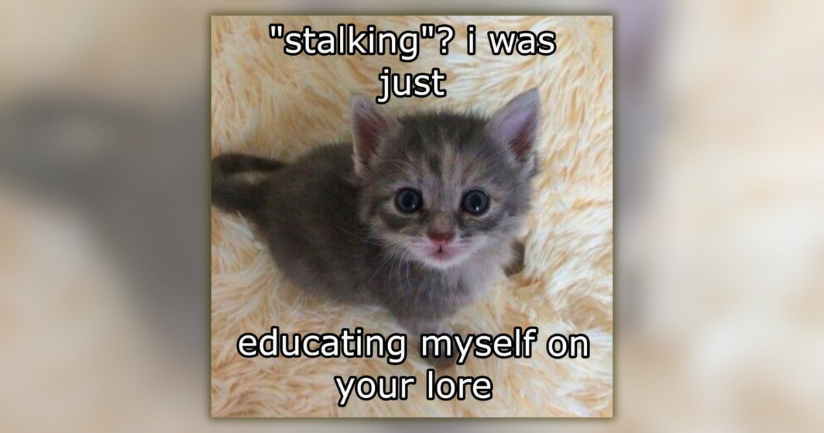 21 Smol Cat Memes for the Small Hours of Sunday to Help You Brace ...