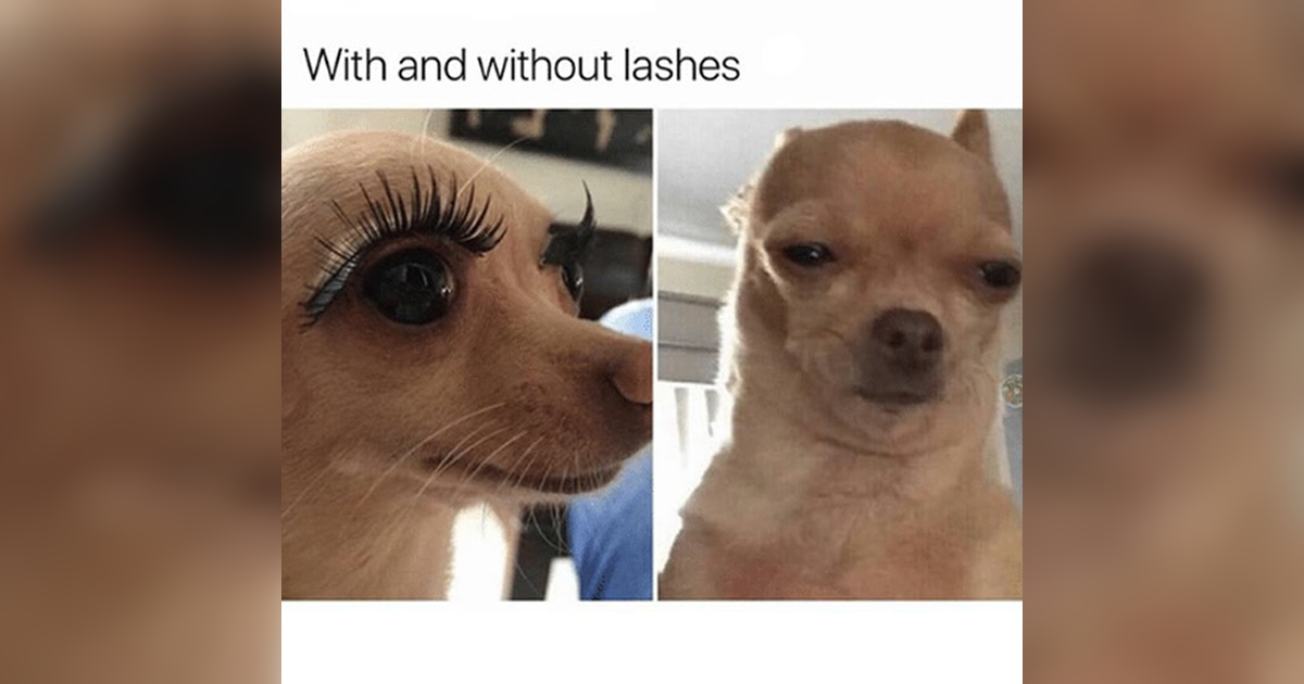 20 Lustrous Eyelash Memes to Make You Blink Twice - Memebase - Funny Memes