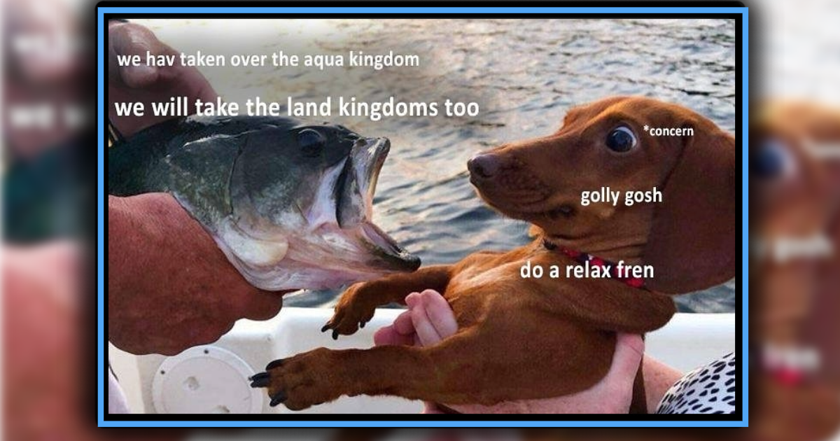 Curious Canines Who Might Have Finally Bit Off More Than They Could ...