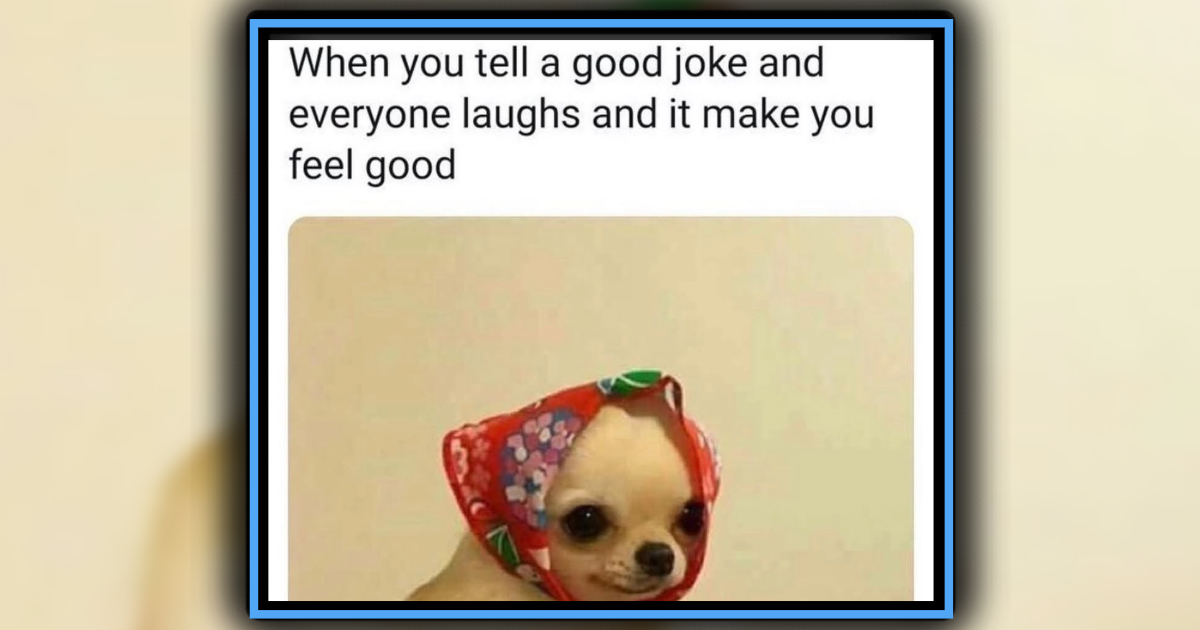 24 Emotional Support Animal Memes for Hoomans Who Miss the Bright Side ...