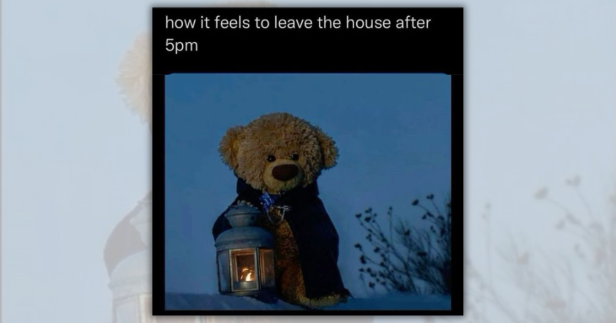 A Hibernation of 26 Beary Relatable Memes for People Who Need a Beary ...