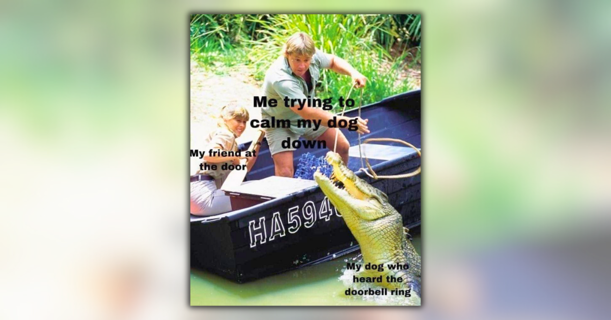 Peppy Pack of 25 Absurd Animal Memes to Start Your Friday Frenzy With ...