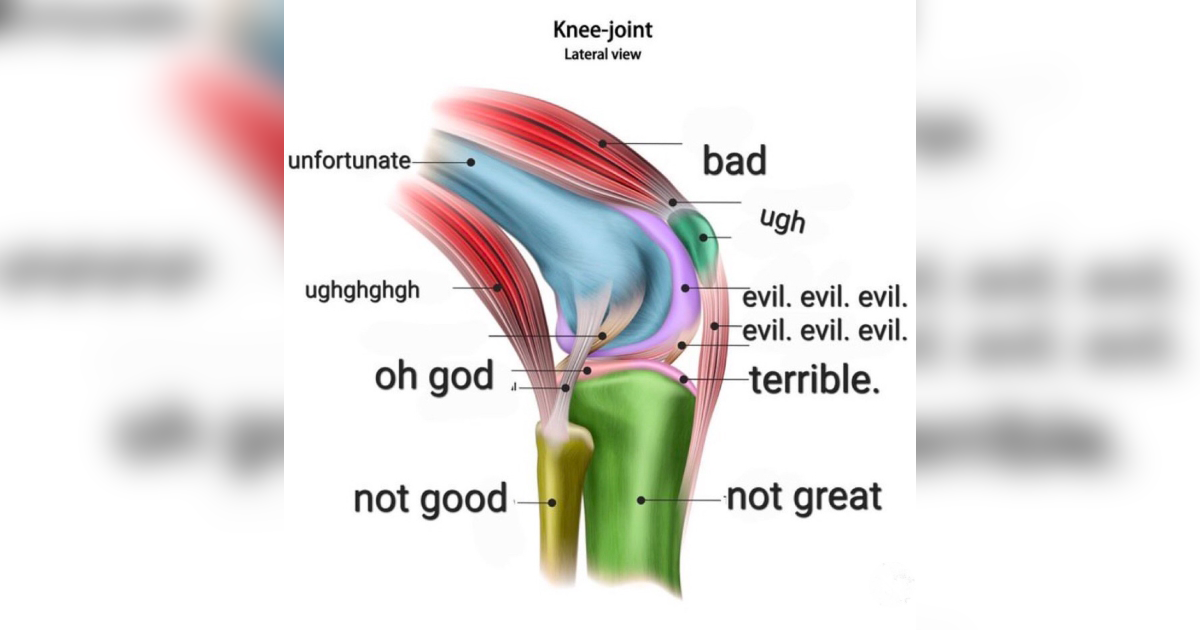 A Light Dusting of 32 Memes - Memebase - Funny Memes