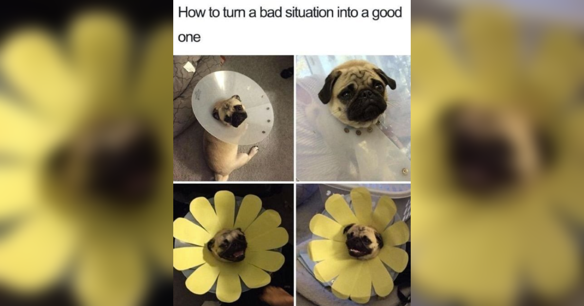 25 Best Meme Chan Memes Hopeing Memes Pin By K. Kali💋 On Quotes I