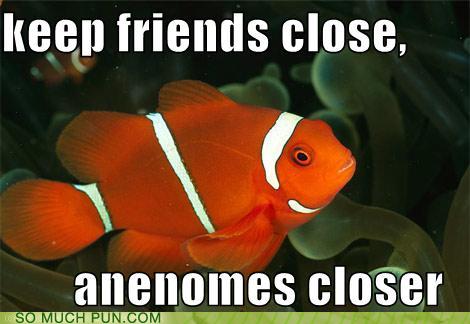 Memebase - clownfish - All Your Memes In Our Base - Funny Memes ...
