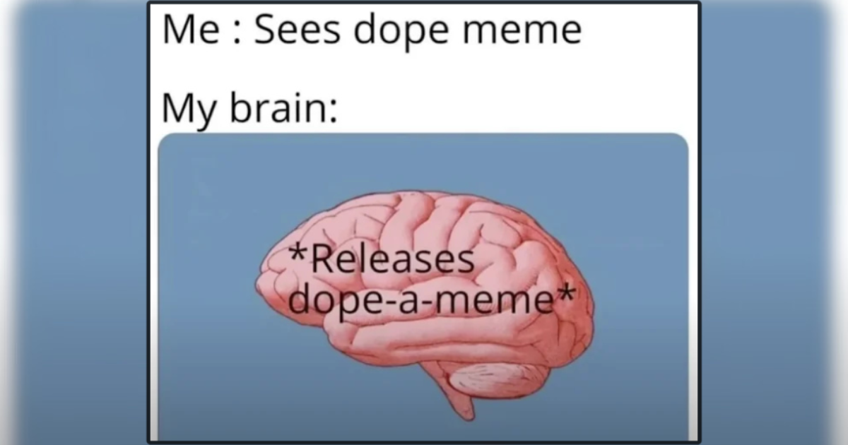 A Bunch of Nerdy Memes for Clever People, You Wouldn’t Get It - Geek ...