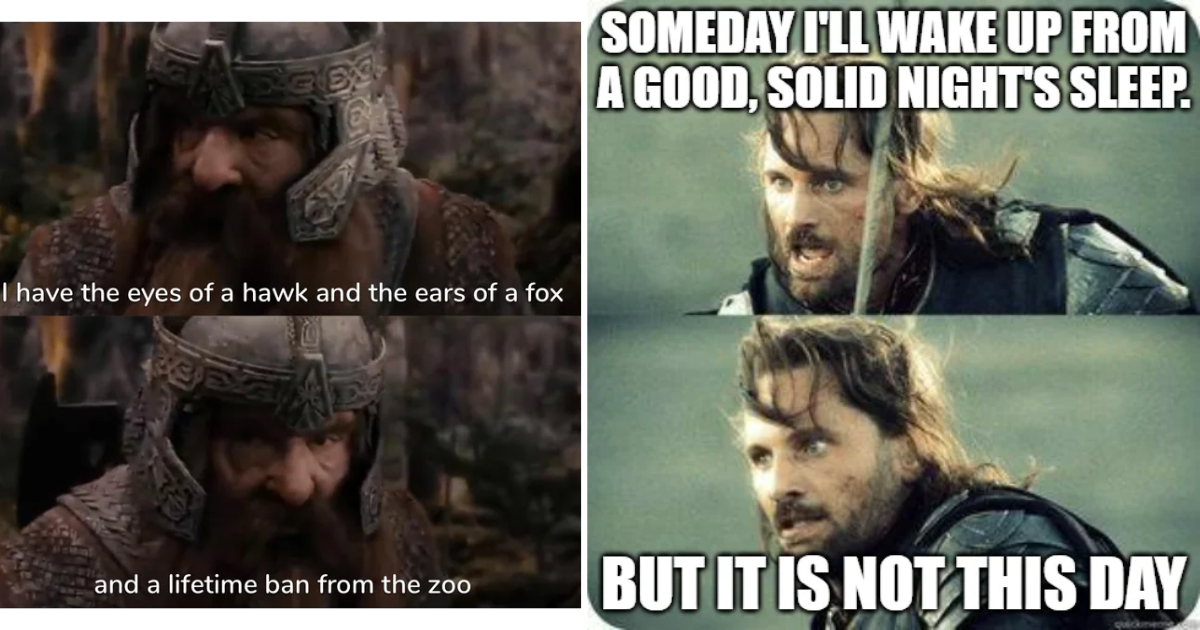 31 Lord of the Rings Memes That Were Forged in the Fires of Mount Doom ...