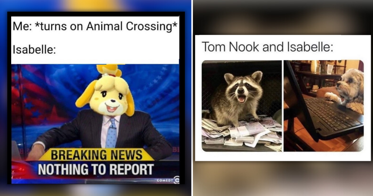 25 Adorable Animal Crossing Memes to Collect for Nook Miles from the Greedy Raccoon - Geek ...