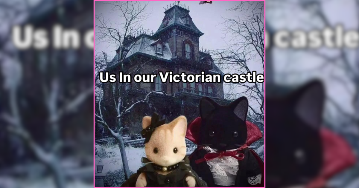 24 Cute Goth Memes for Eternally Enticed Couples Watching Horror Movies ...