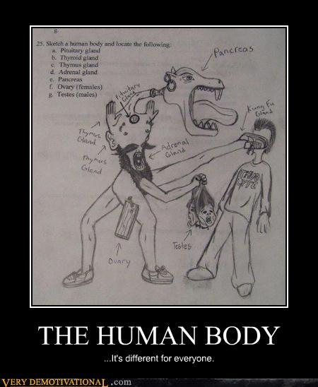 THE HUMAN BODY - Very Demotivational - Demotivational Posters | Very ...