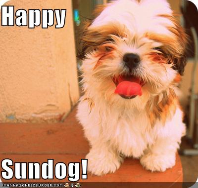 I Has A Hotdog - Dog Pictures - Funny pictures of dogs - Dog Memes ...