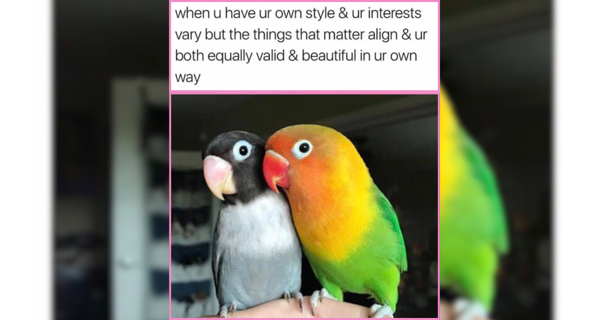 31 Witty Long-term Relationship Memes for Couples Committed to ...