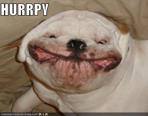 Derp - smile - Derp Face Derps - hurr durr derp face - derp - Cheezburger