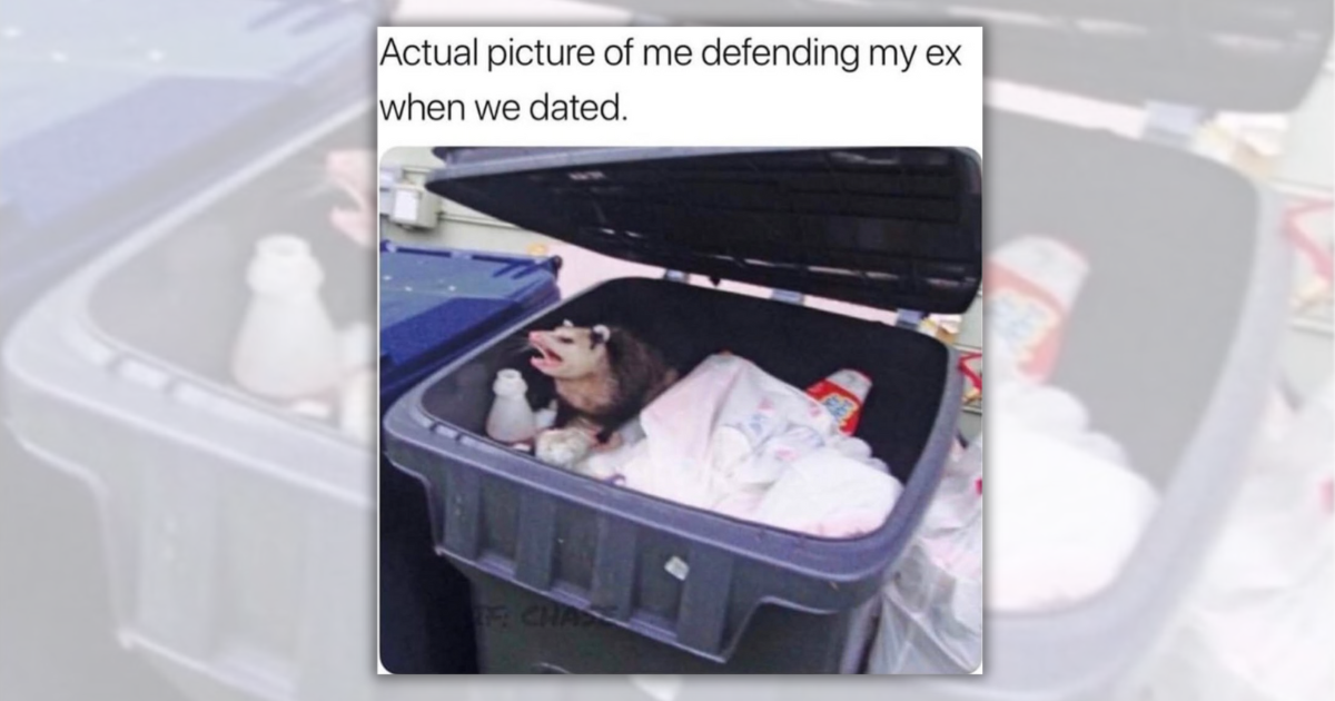 Howl You Doin'? 28 Funniest Animal Posts to Unleash the Beast With ...