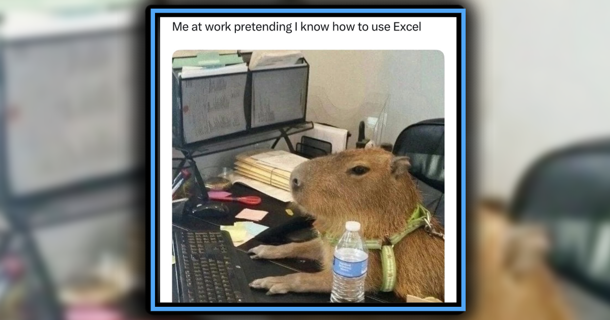 Give Them a Pawmotion: 25 Awwdorable Animals Excelling at Everything ...