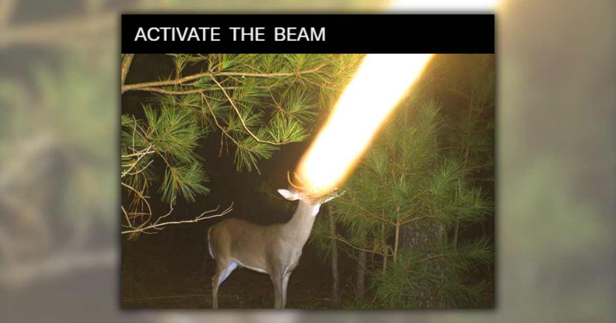 'World Wild Web' is Wilder With Each Week and Every One of These 24 ...