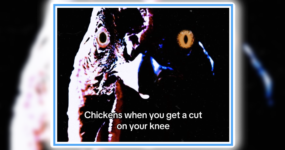 Out of Control Animals Who’ve Had It Up to Here This Week - Animal ...