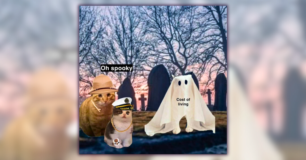 27 Coo-Coo Cat Memes Causing Chaos During Your Day - I Can Has Cheezburger?