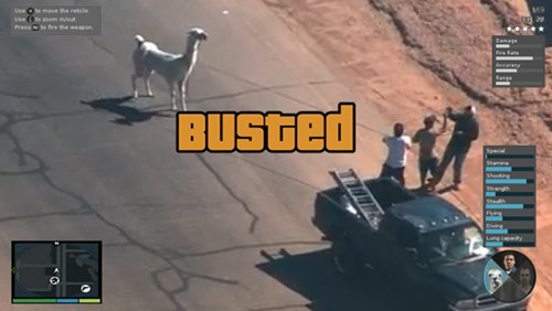 Best App Submissions of the Week! - Memebase - Funny Memes