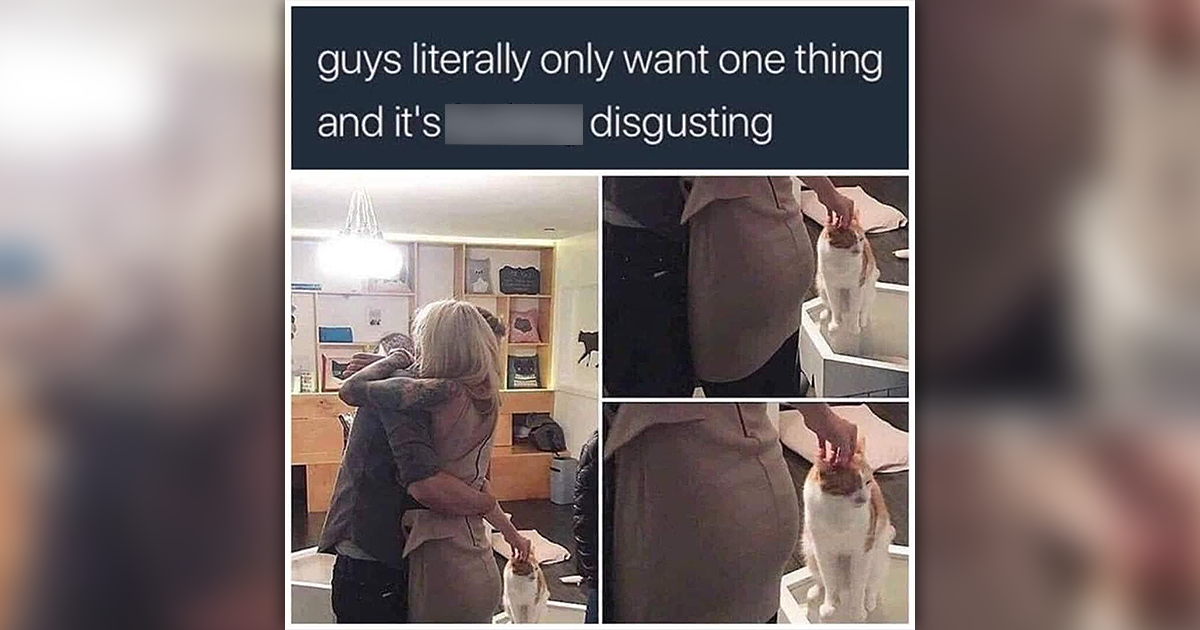 25 Fresh Feline Funnies to Put a Smile on Your Face - I Can Has ...