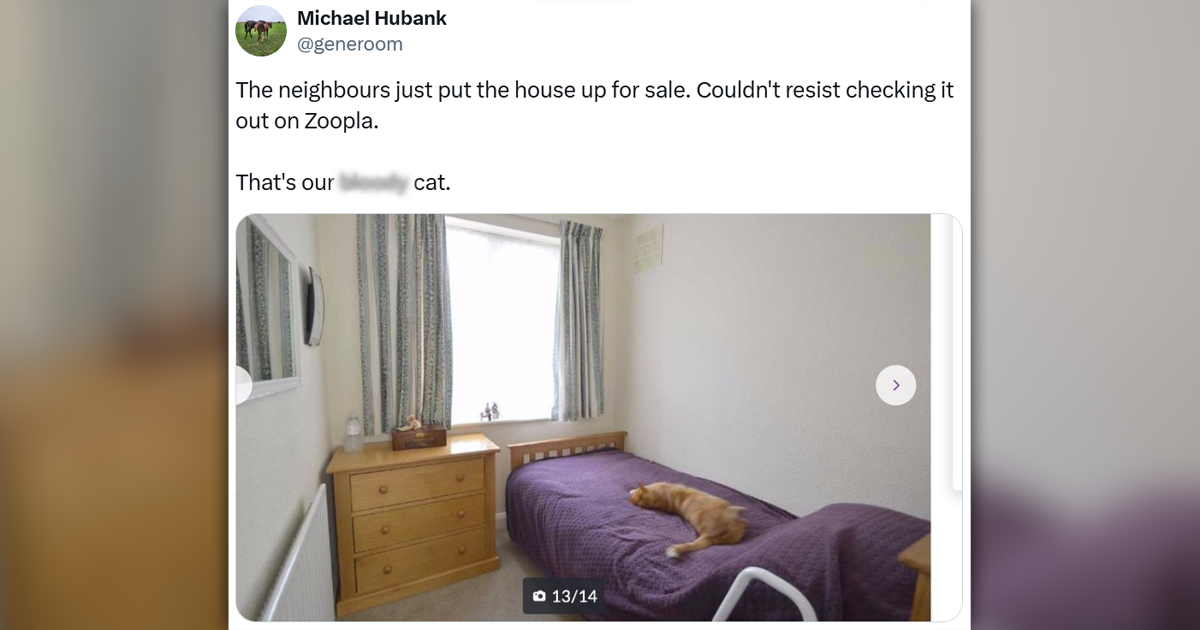 22 Classic Throwback Cat Memes for a Dose of Nostalgia - I Can Has ...