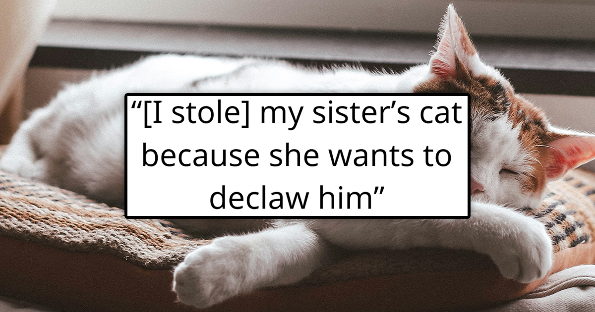 '[I stole] my sister's cat because she wants to declaw him': Person cat ...
